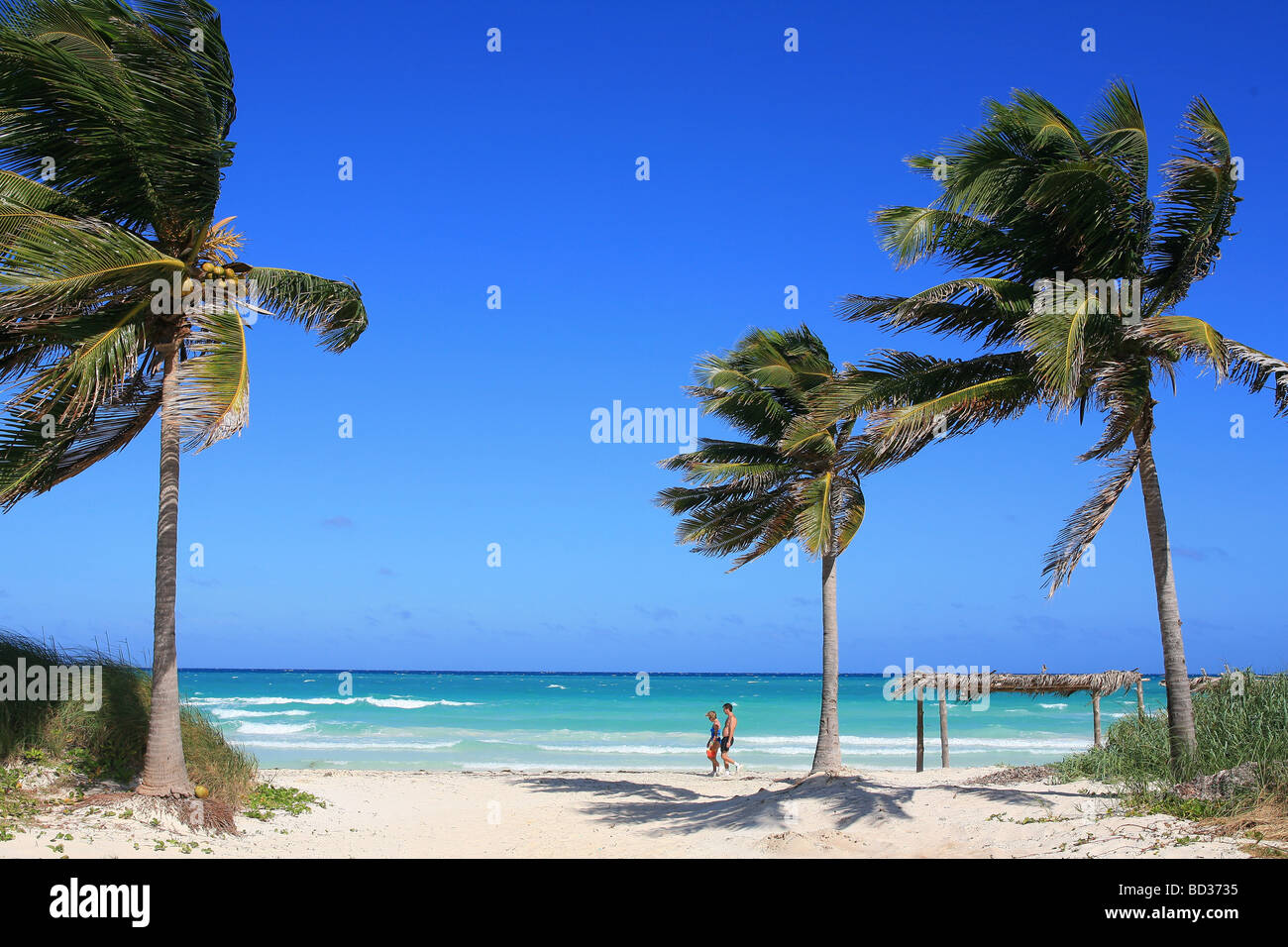 Cayo coco cuba reef hi-res stock photography and images - Alamy