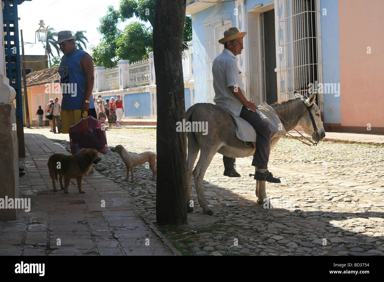 Cuba Trinidad Man on donkey in cobbled colonial street Photo CUBA0932 ...