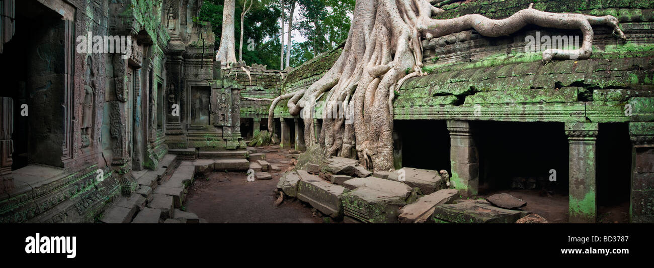 A panorama of the primitive temple of Ta Prohm in Cambodia Stock Photo ...