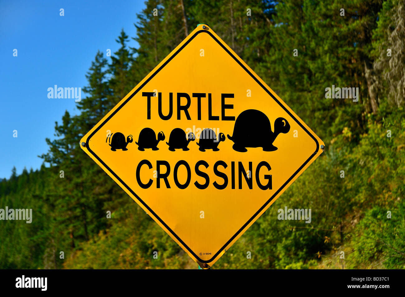 Turtle warning sign hi-res stock photography and images - Alamy