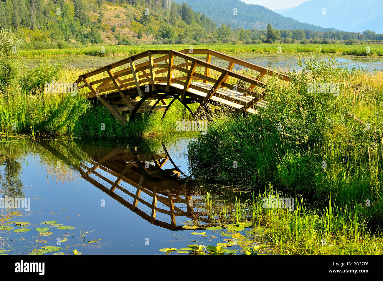 Marsh bridge hi-res stock photography and images - Alamy