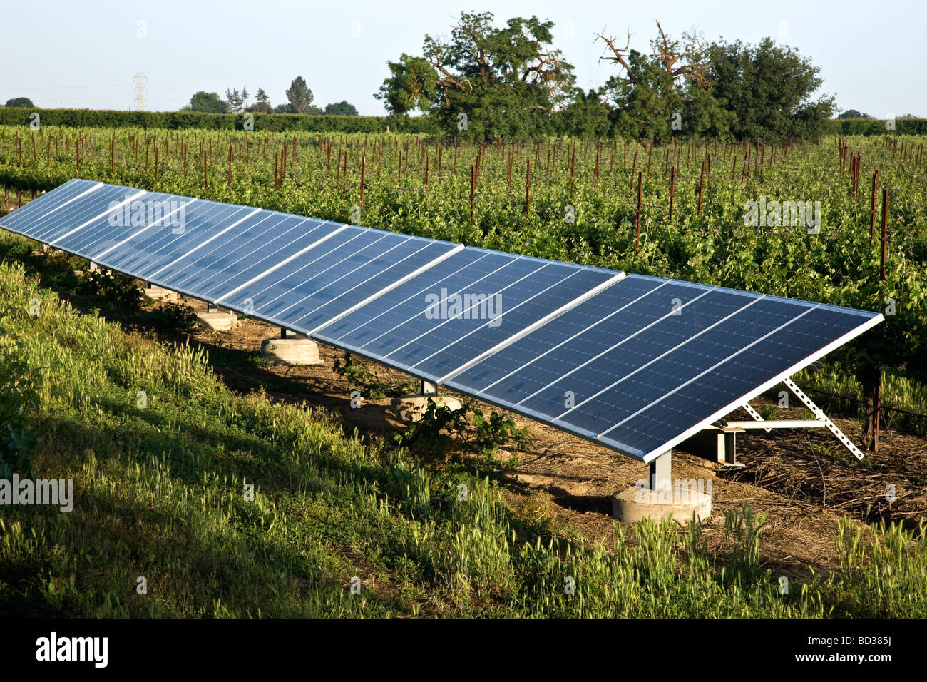 Solar farm renewable energy panels hi-res stock photography and images ...