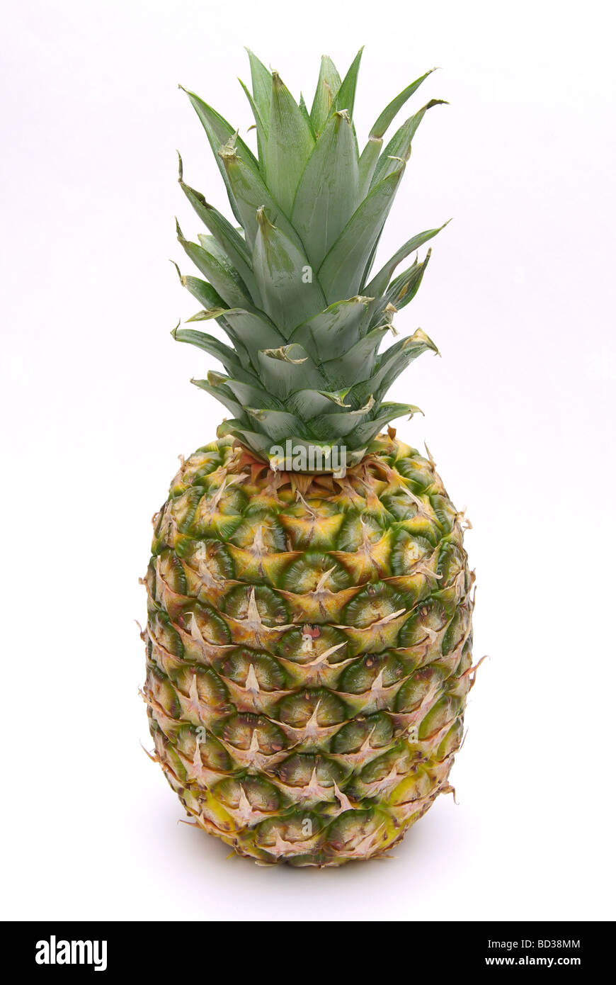 Ananas pineapple 10 Stock Photo - Alamy