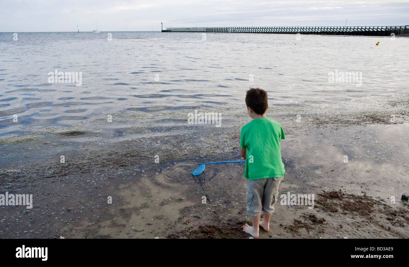 Boy with a Fishing Net at the Seaside Stock Photo - Alamy