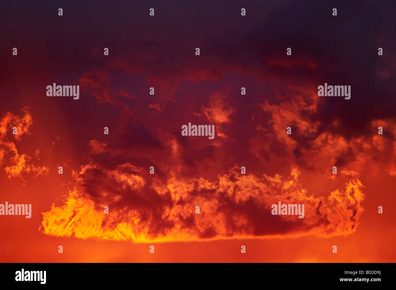 rosy sky - fiery clouds Stock Photo - Alamy
