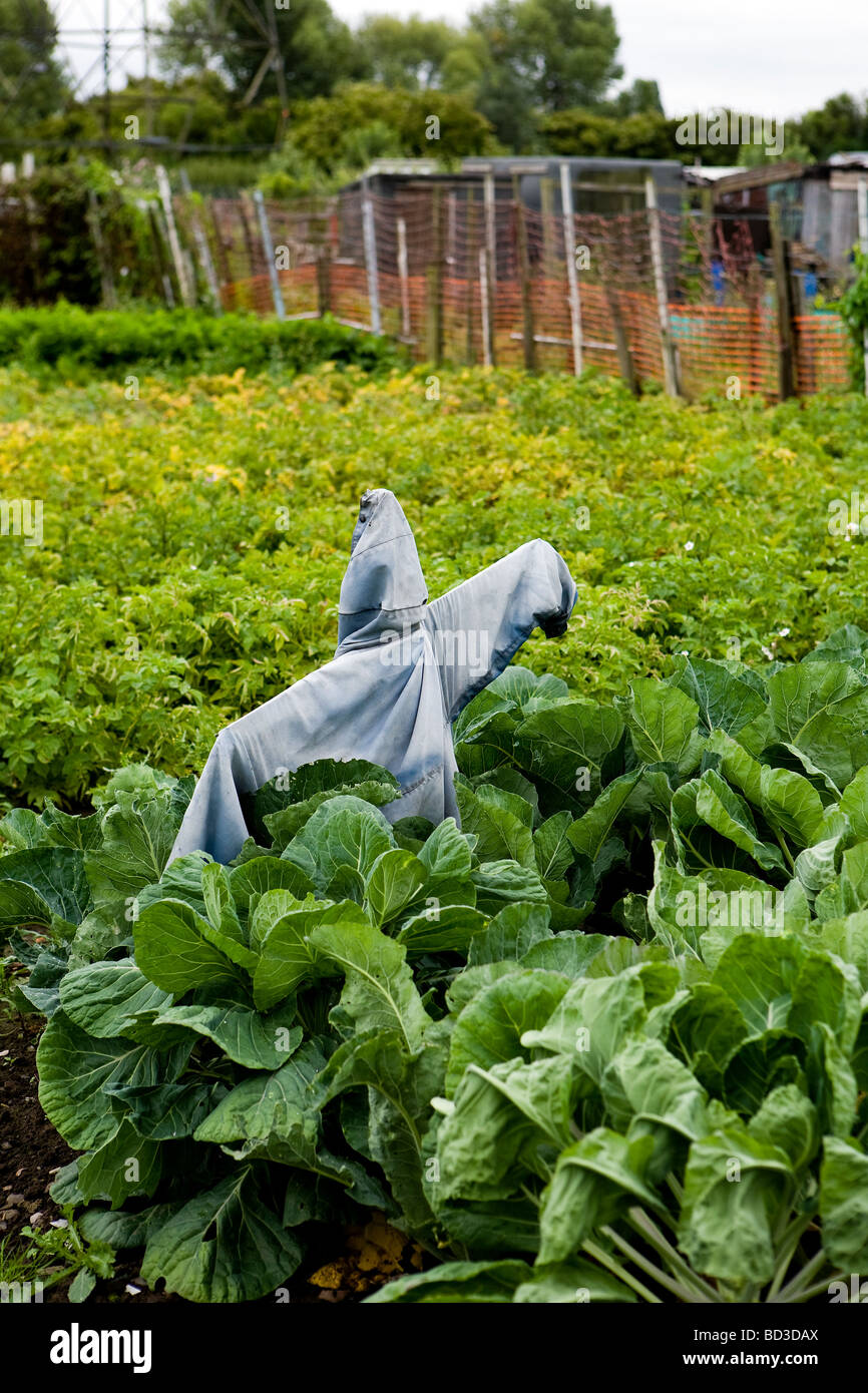 Rusty metal scarecrow hi-res stock photography and images - Alamy