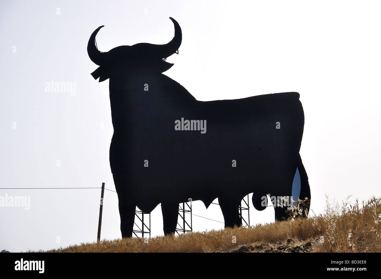 Toro del sol hi-res stock photography and images - Alamy