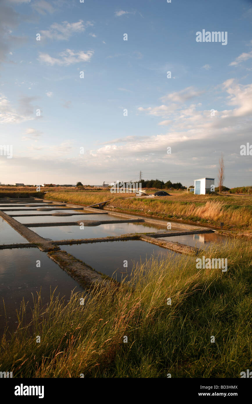 Salt production in france hi-res stock photography and images - Alamy