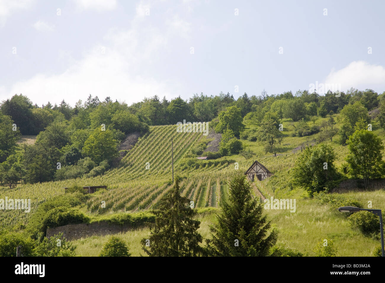Oldest of germanys tourist wine routes hi-res stock photography and ...