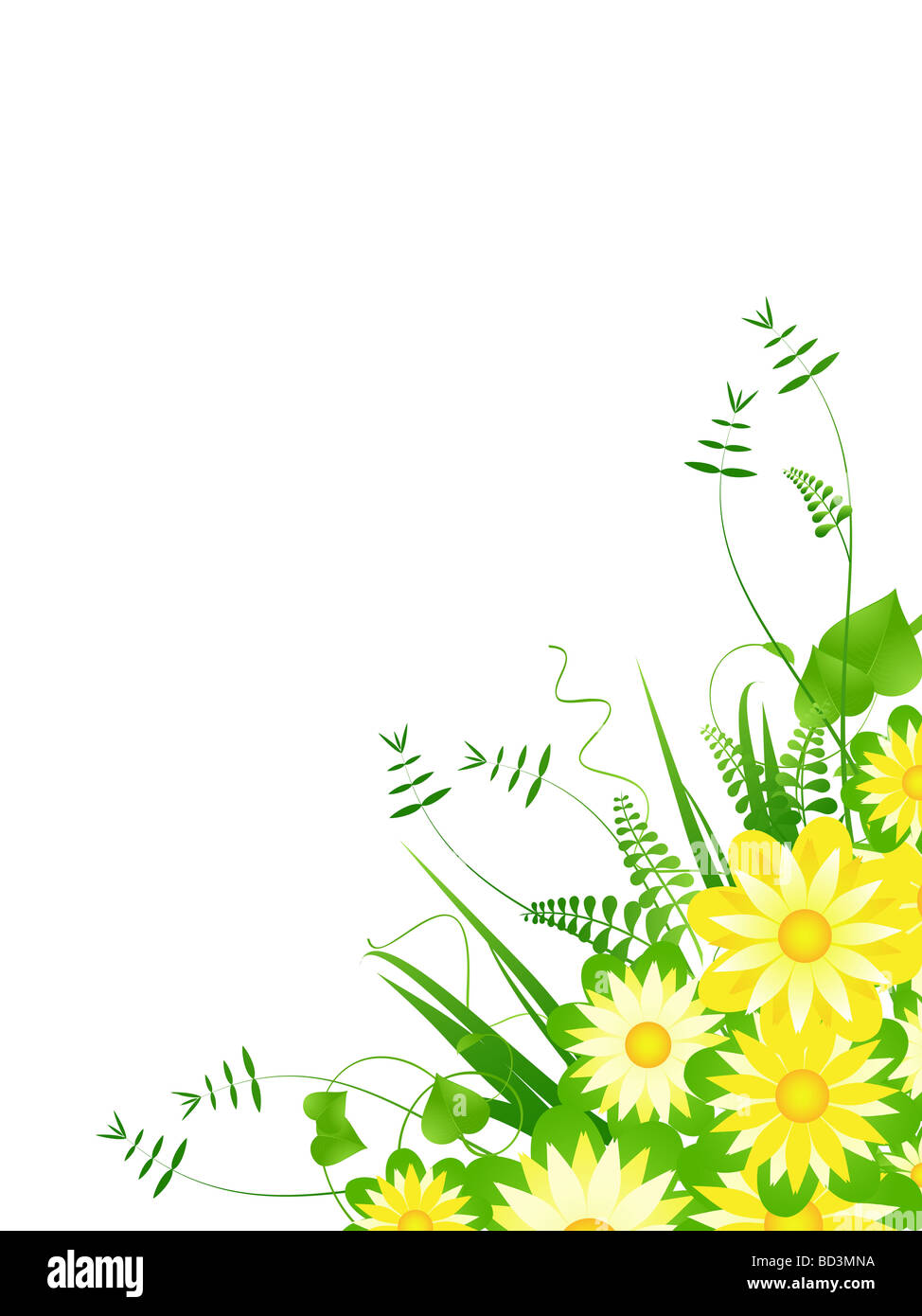 corner bouquet of bright summer flowers and ferns Stock Photo - Alamy