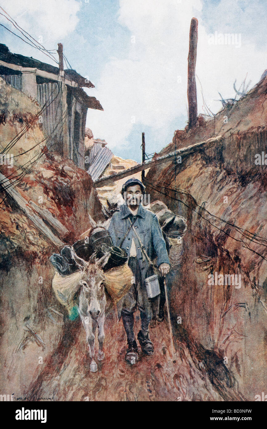 World war one donkeys hi-res stock photography and images - Alamy