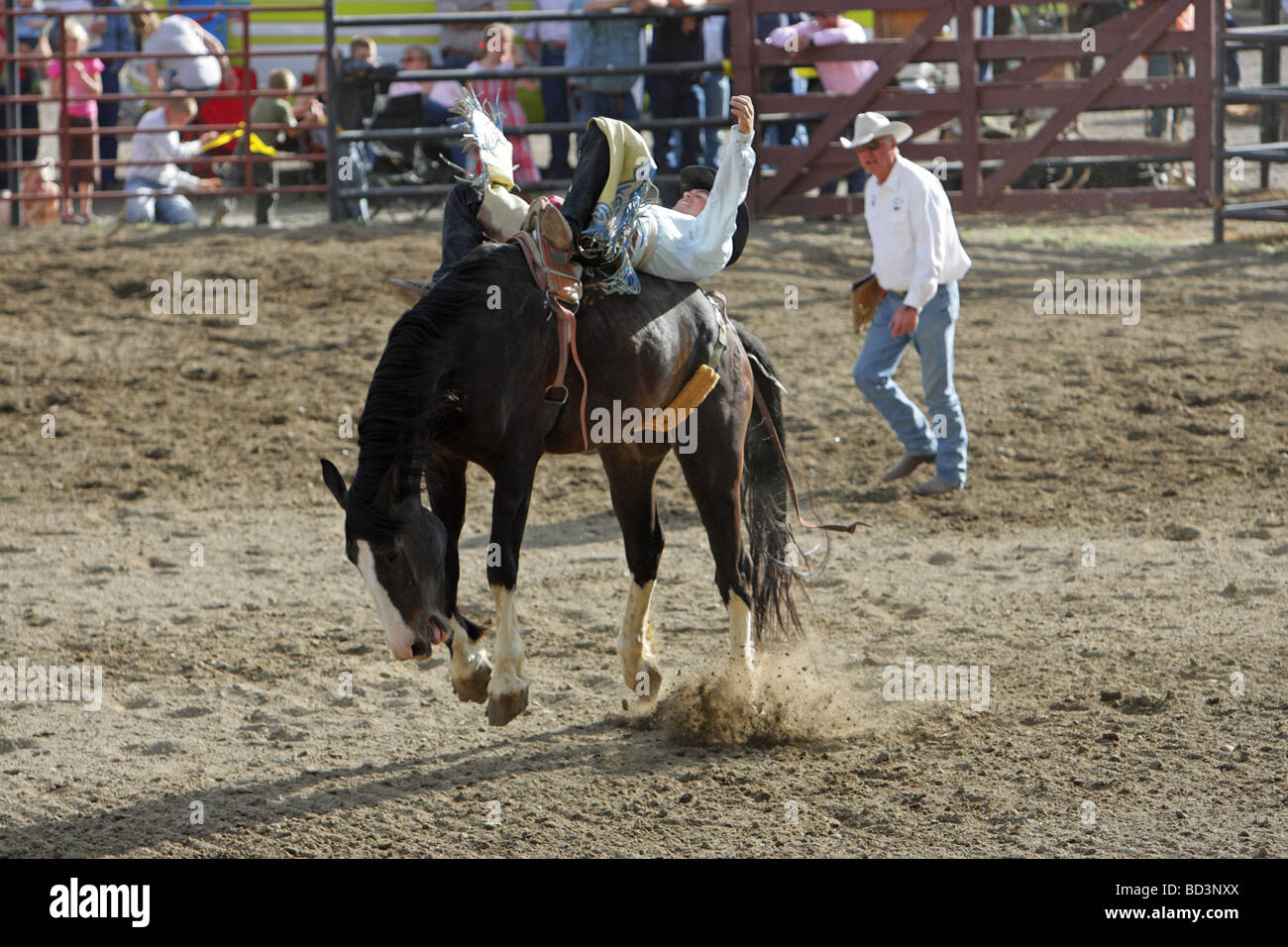 Rodeo cowboy falling off horse hi-res stock photography and images - Alamy