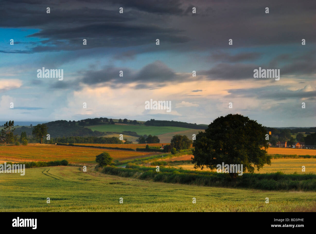 rural Countryside outside Shrewsbury in Shropshire England UK Stock ...
