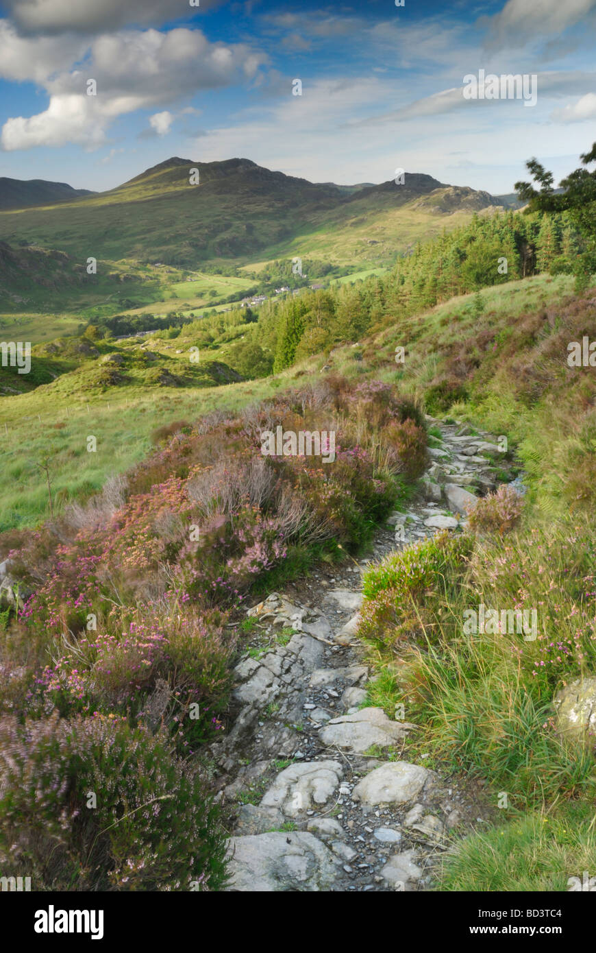 Looking across to Glyder Fawr and Glyder Fach from the mountain slopes ...