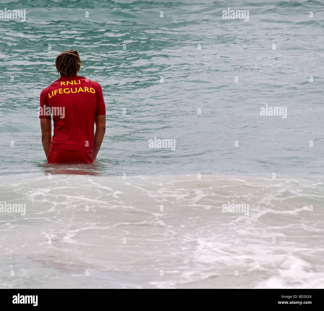 A RNLI lifeguard in the sea in Cornwall Stock Photo - Alamy