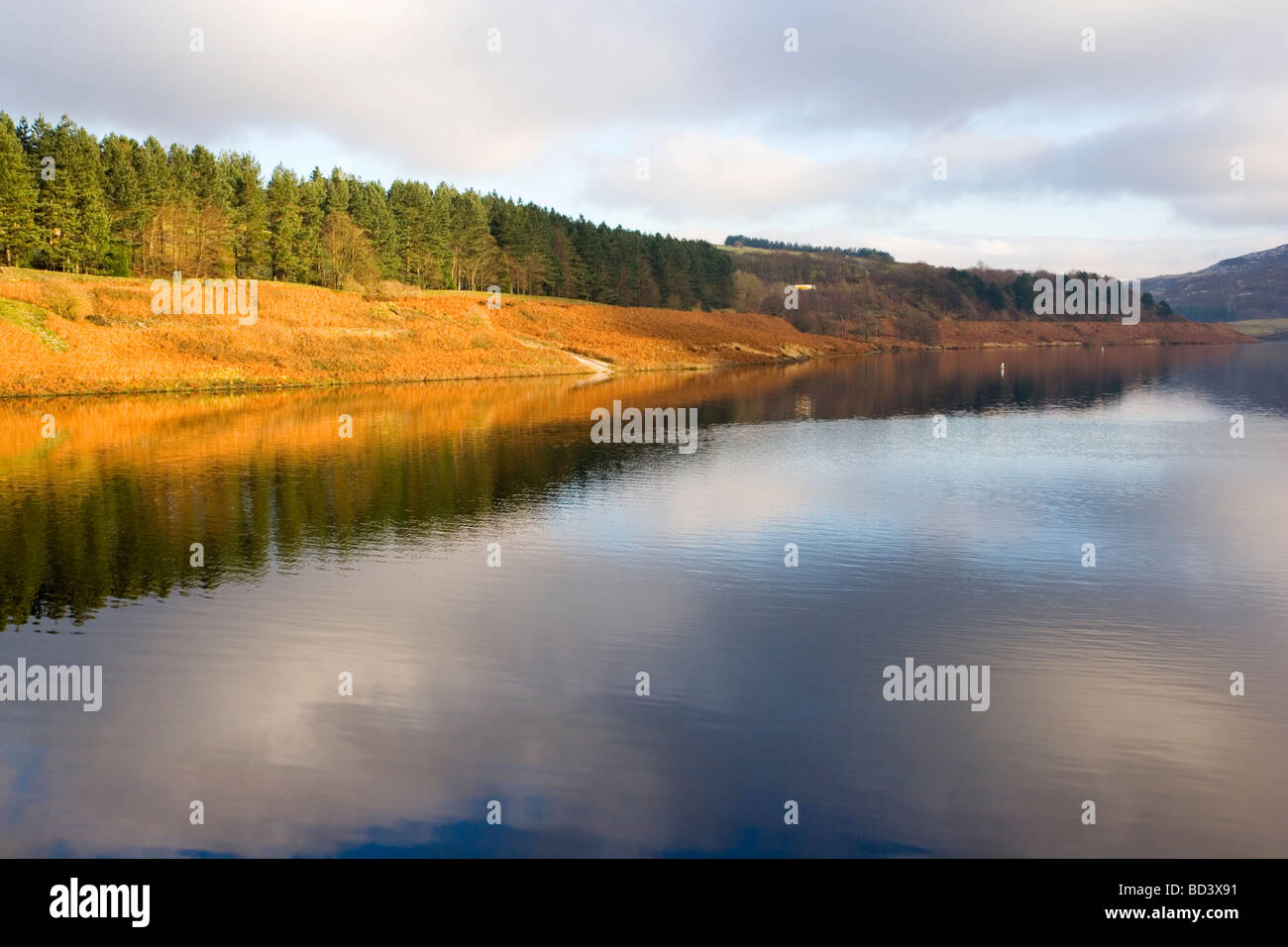 View of Torside Reservoir in the Longdendale Valley in the Peak ...