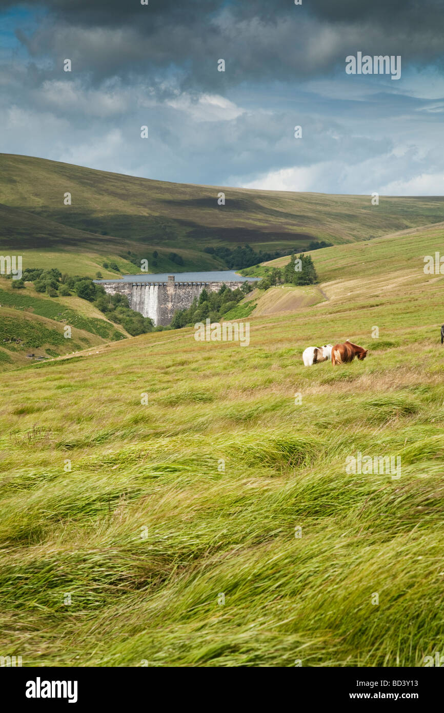 Grwyne Fawr Reservoir from the slopes of Chwarel y Fyn black Mountains ...