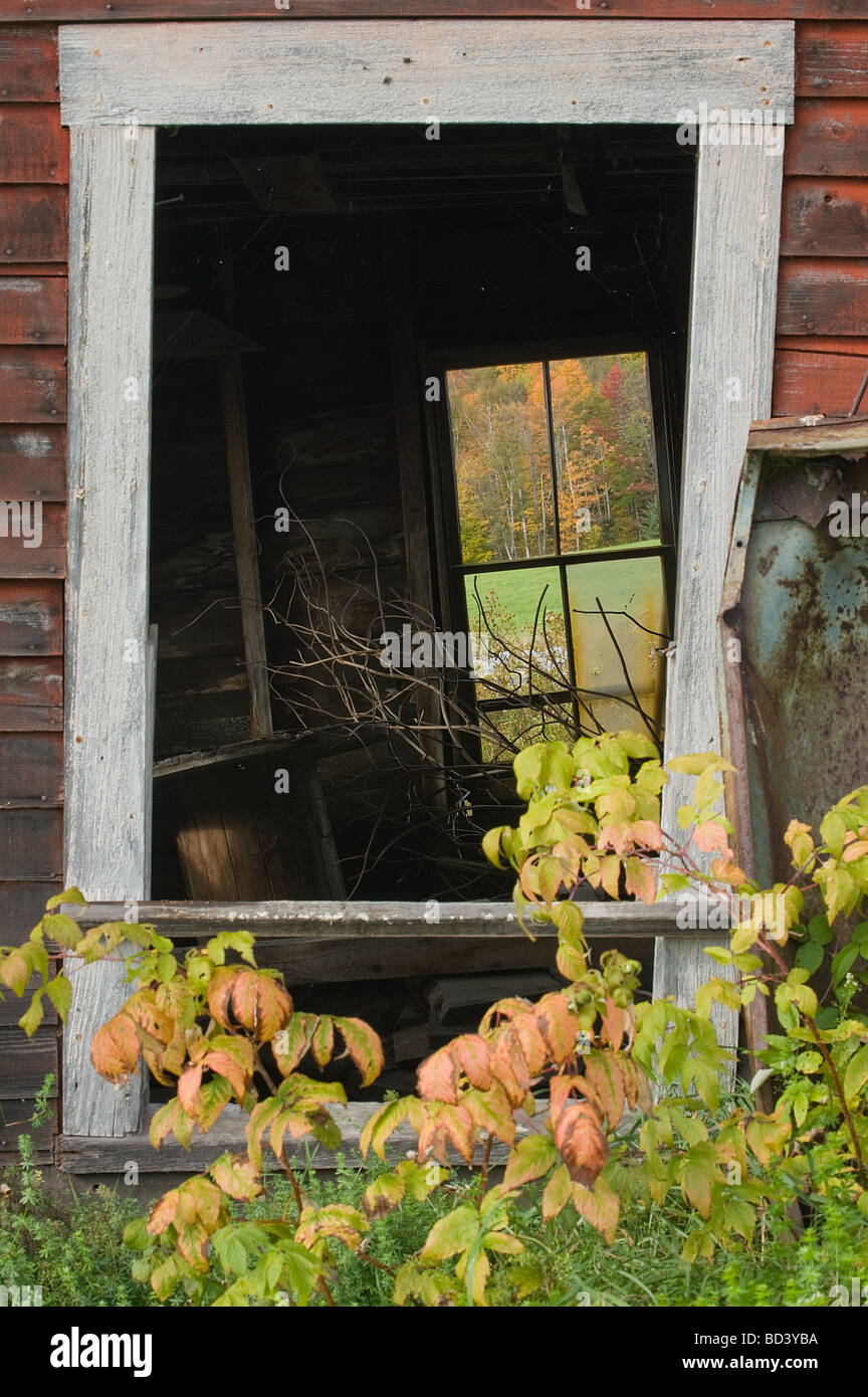 Wonky Window #1 Stock Photo - Alamy
