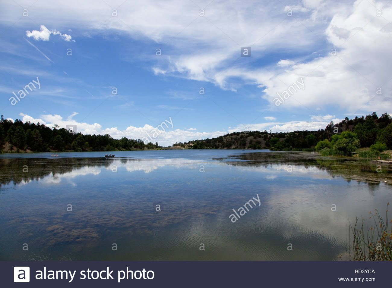 Gila National Forest Stock Photos & Gila National Forest Stock Images ...