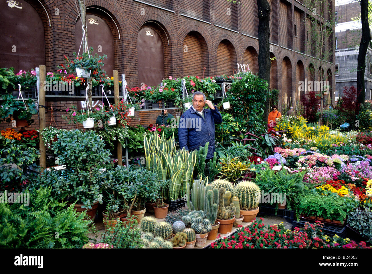 milan flowers seller Stock Photo - Alamy