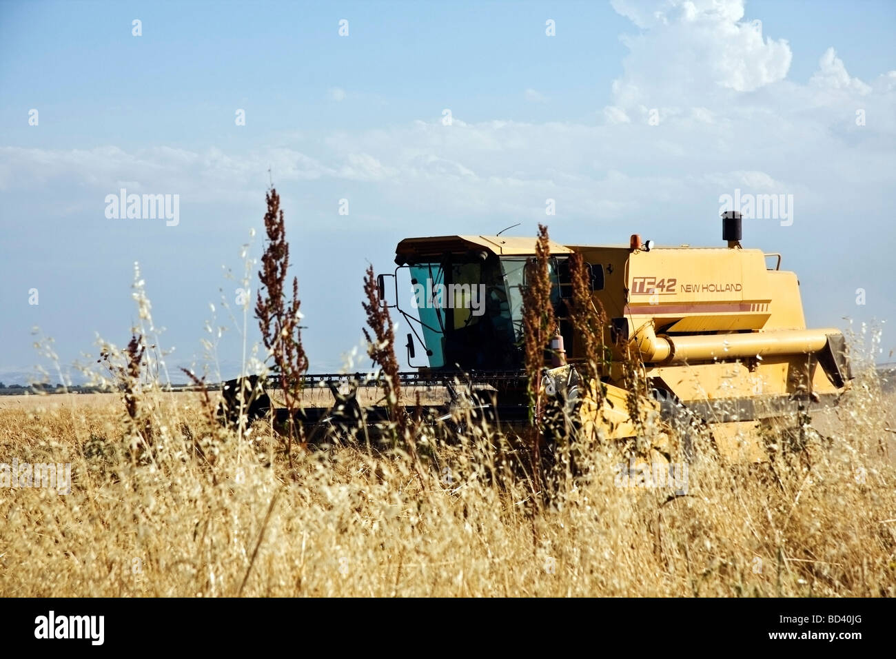Modern Harvesting Machine Wheat High Resolution Stock Photography and ...