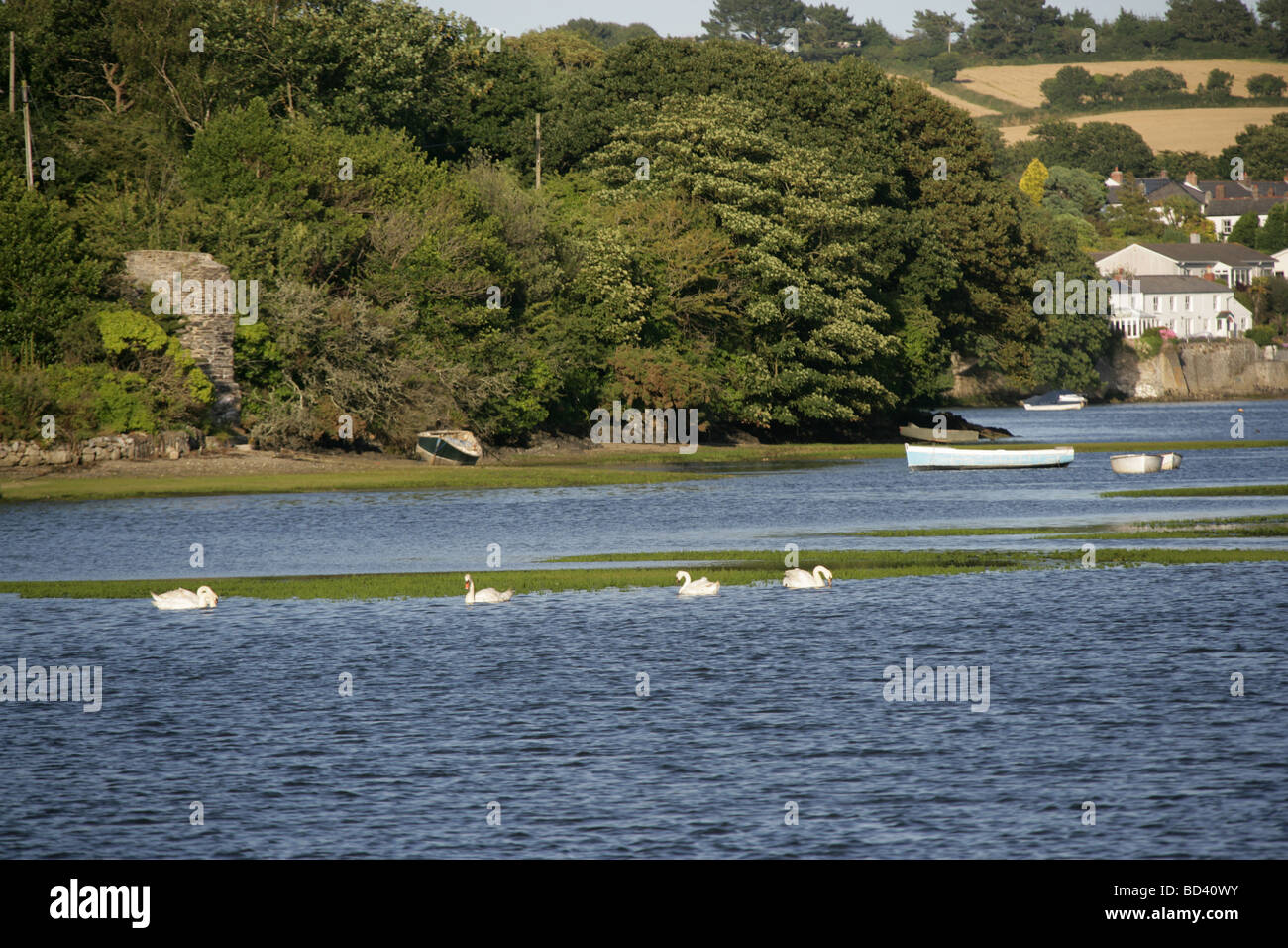 Town of Devoran, England. Peaceful view of Restronguet Creek ...