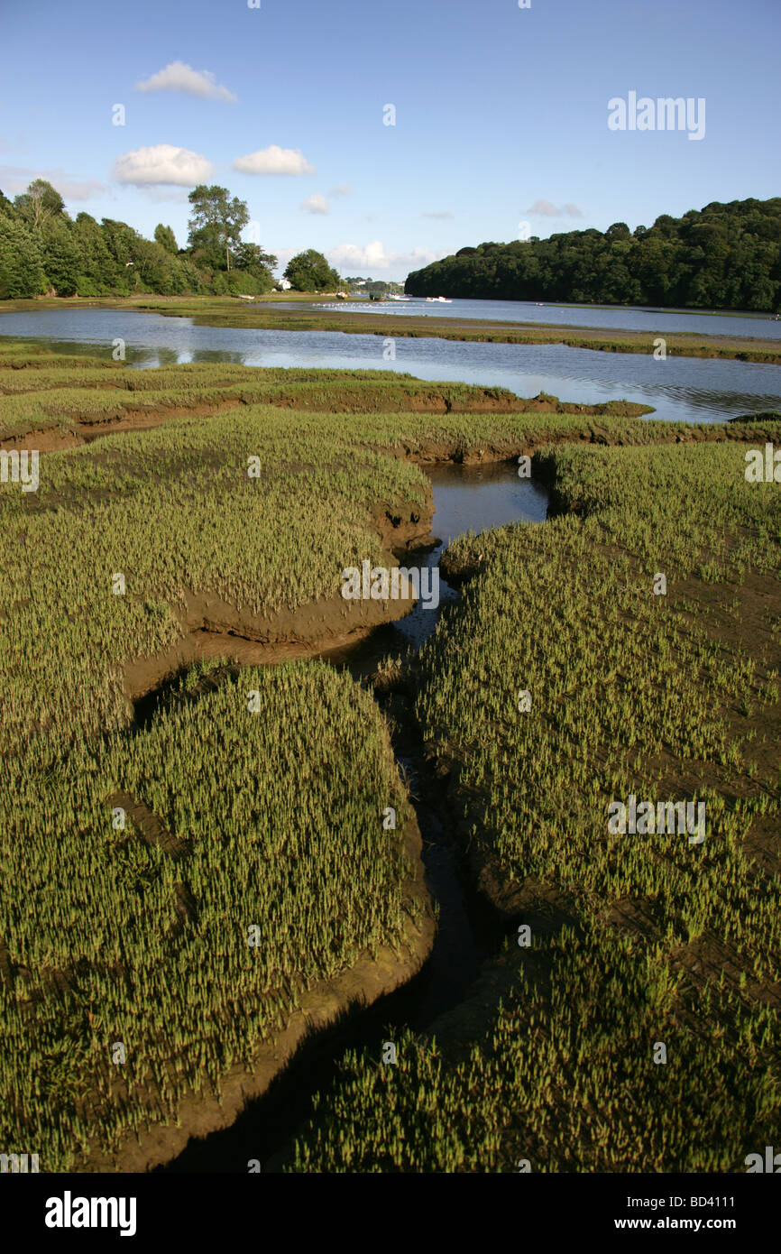 Town of Devoran, England. Evening view of the Devoran saltmarshs at ...
