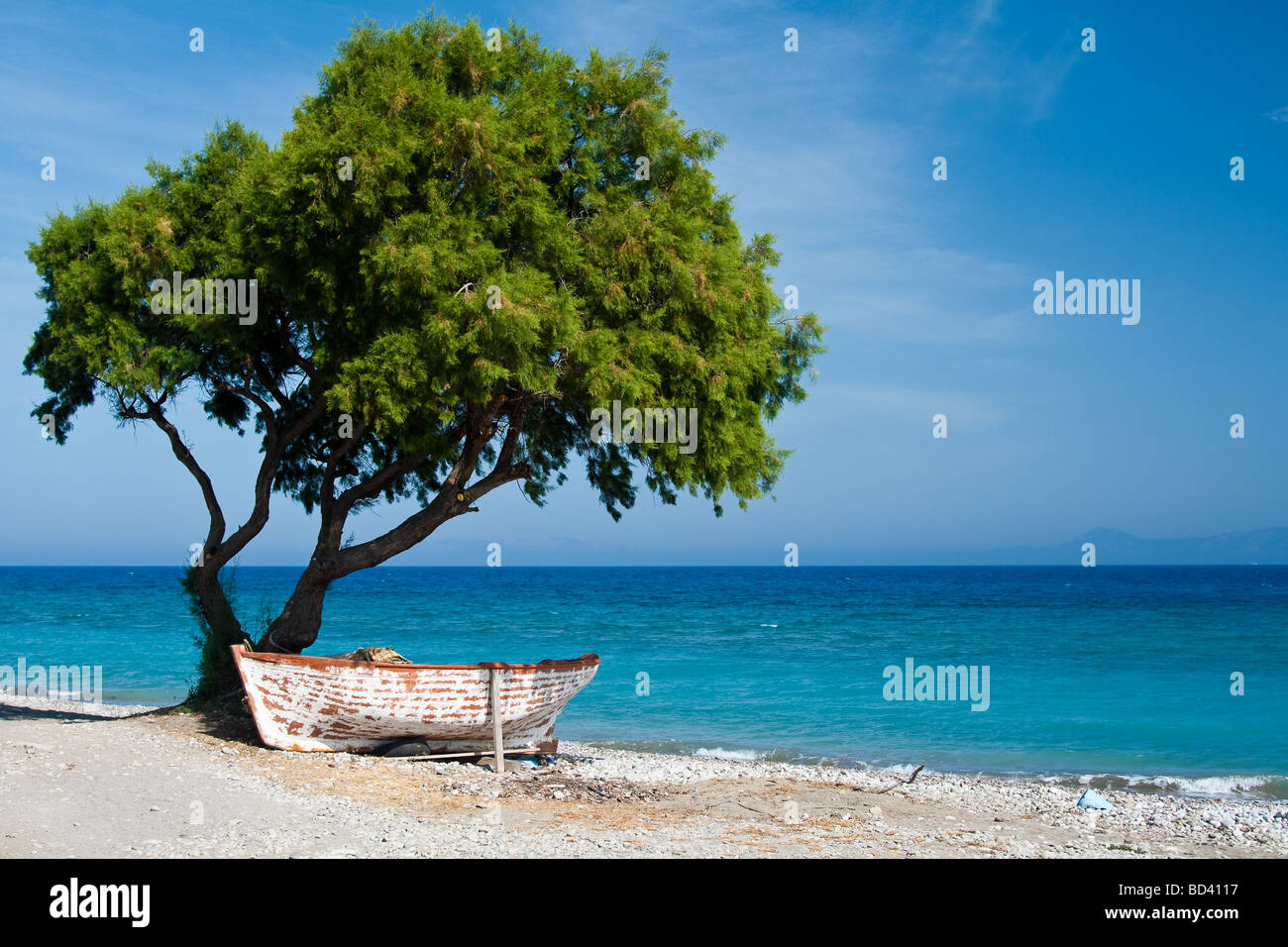 Fishing boat under tree on the beach by the sea Stock Photo - Alamy