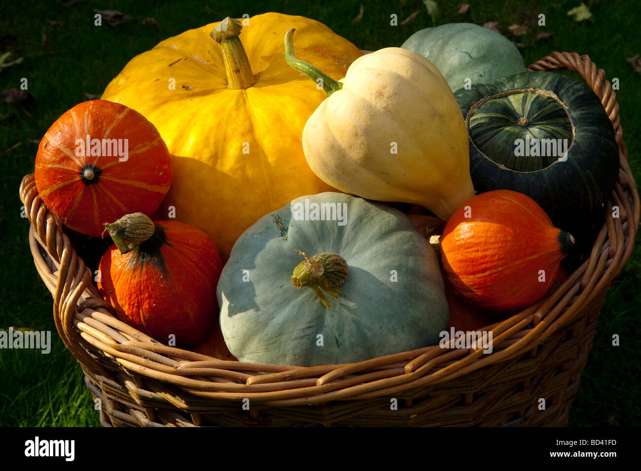 A mixture of vegetable squash in a basket Stock Photo - Alamy