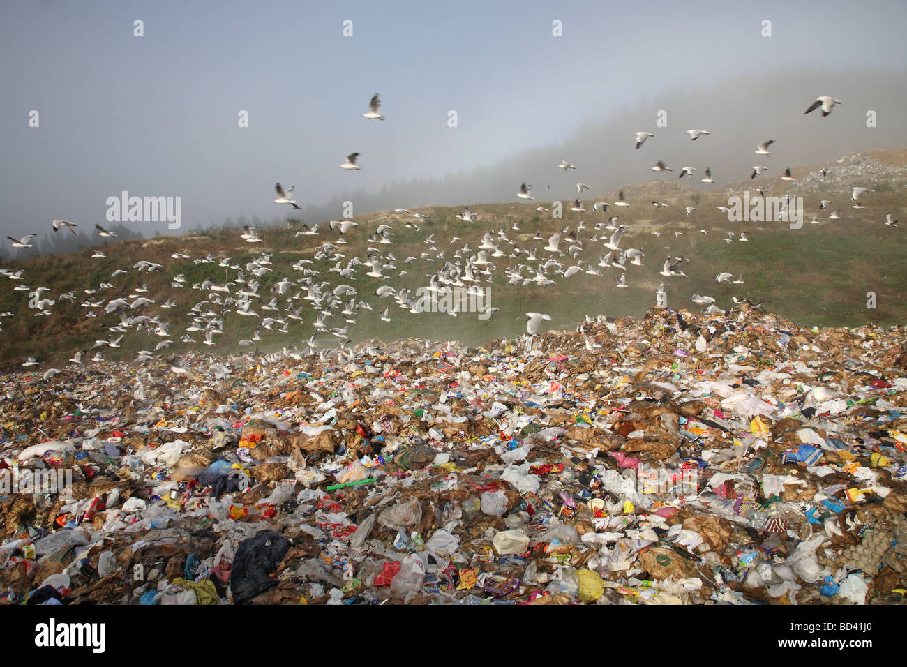 Pile flying empty plastic hi-res stock photography and images - Alamy