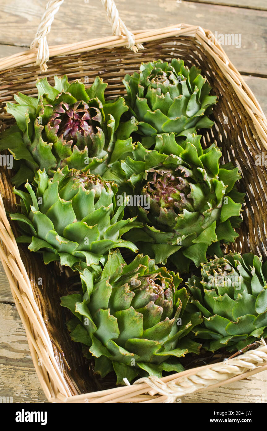 A basket of ripe spikey artichoke heads ready for cooking Stock Photo ...
