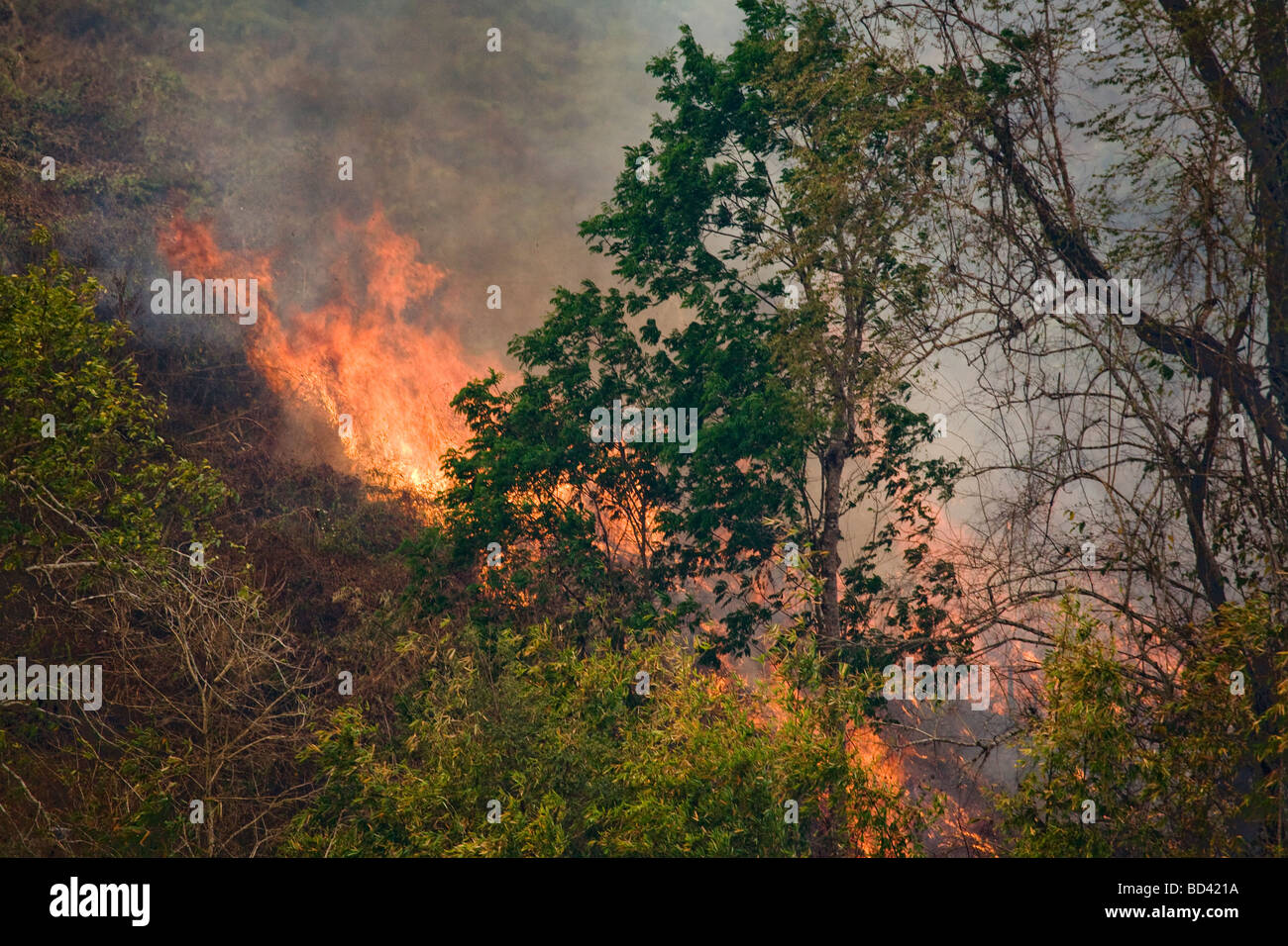 Laos fires hi-res stock photography and images - Alamy