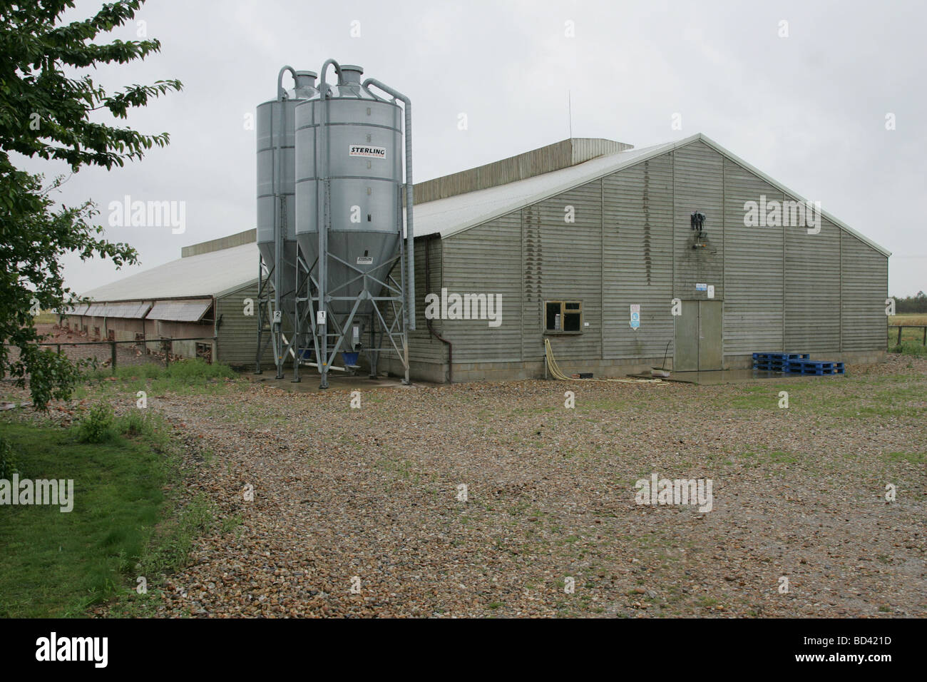 Poultry feed hi-res stock photography and images - Alamy