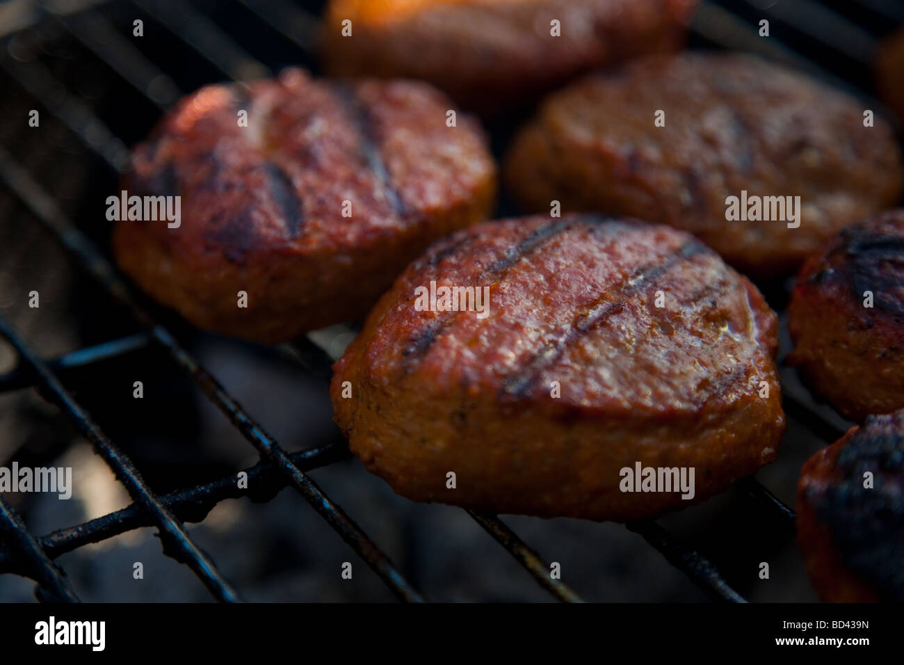 Home made BBQ meat burgers on outdoors grill, Netherlands Stock Photo ...