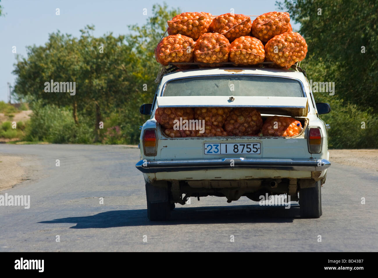 Car loaded with onions near Bukhara Uzbekistan Stock Photo - Alamy
