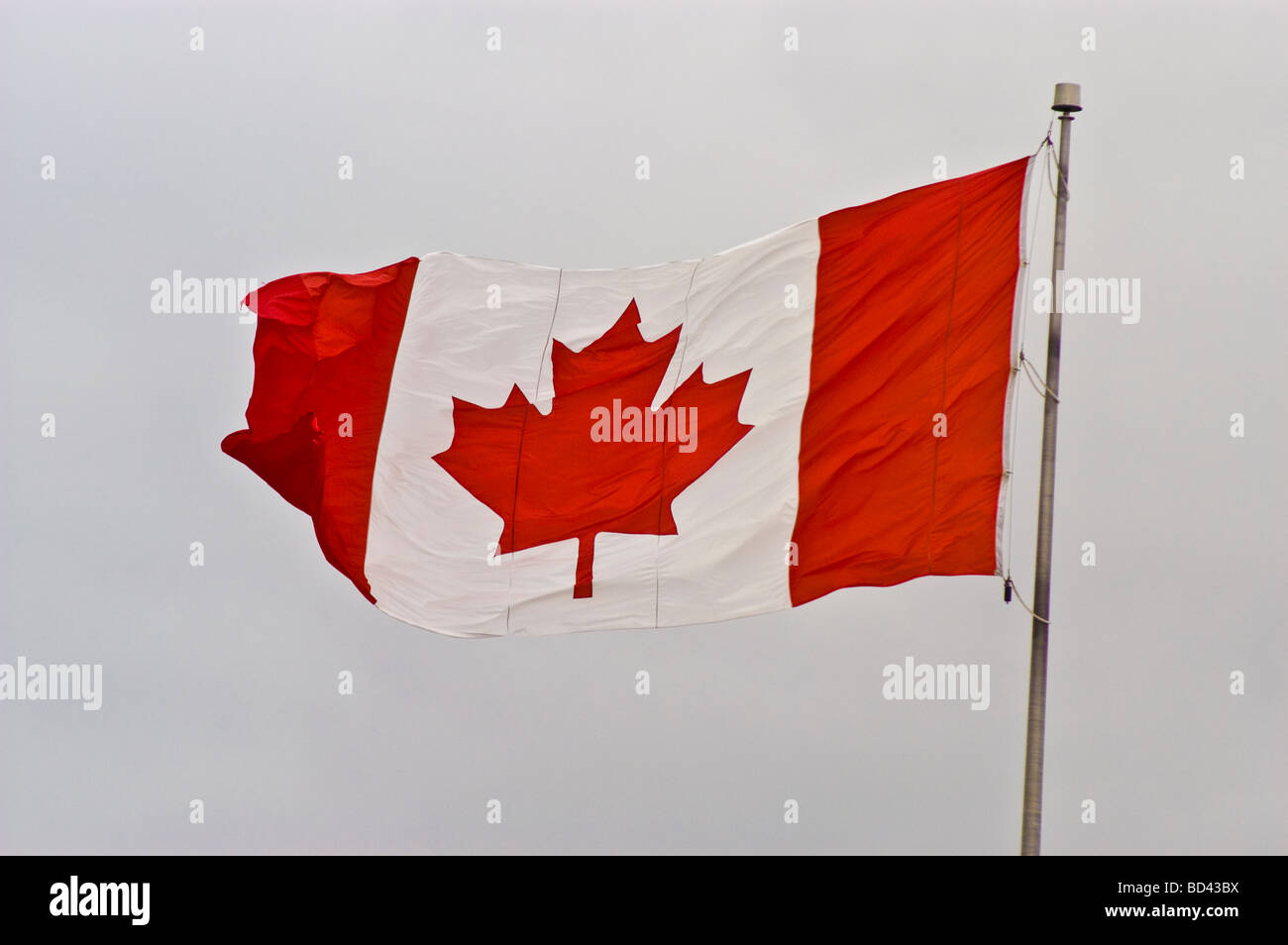 Scotland canada flag hi-res stock photography and images - Alamy
