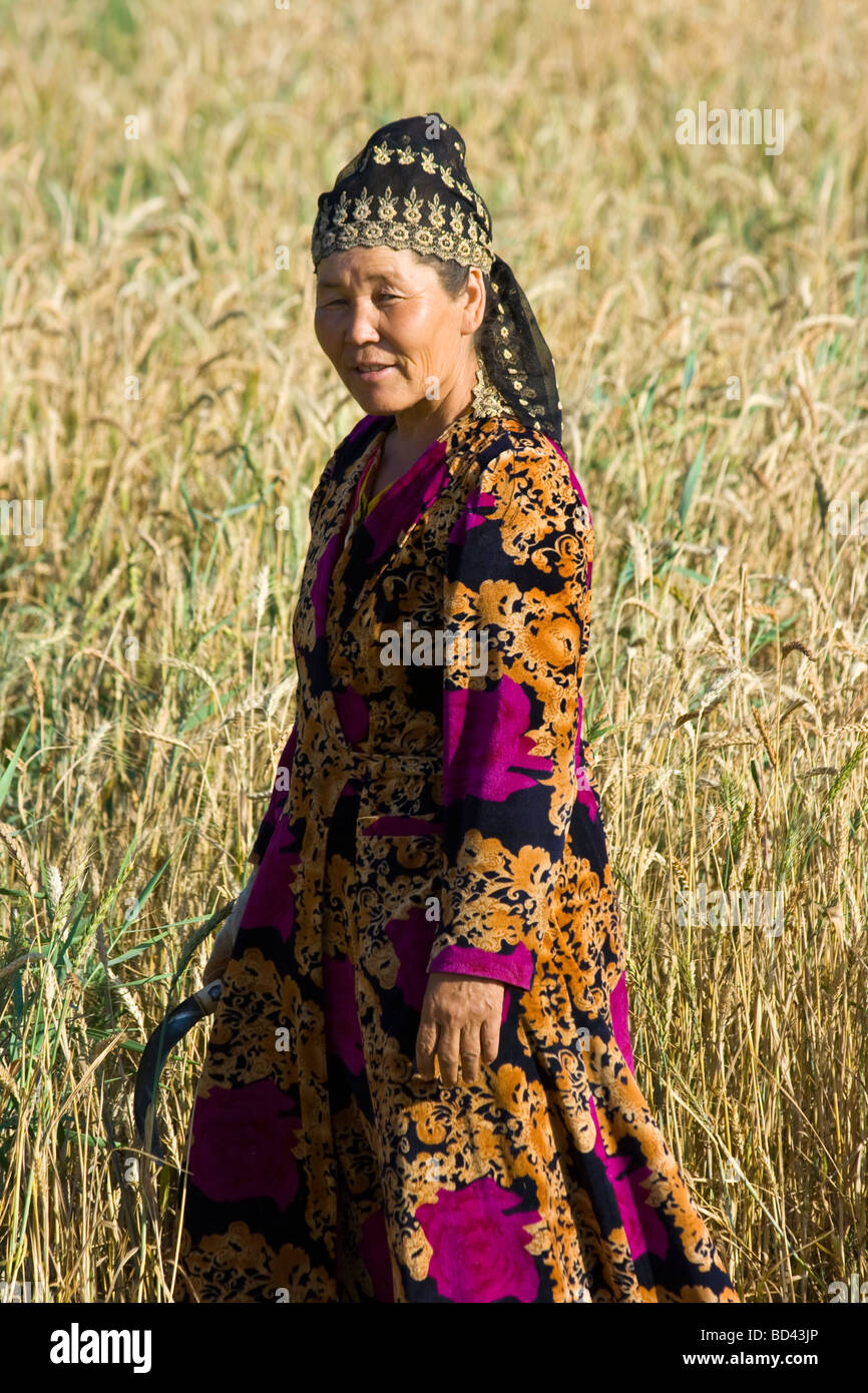 Uzbek Woman Harvesting Grain in Rural Uzbekistan Stock Photo - Alamy