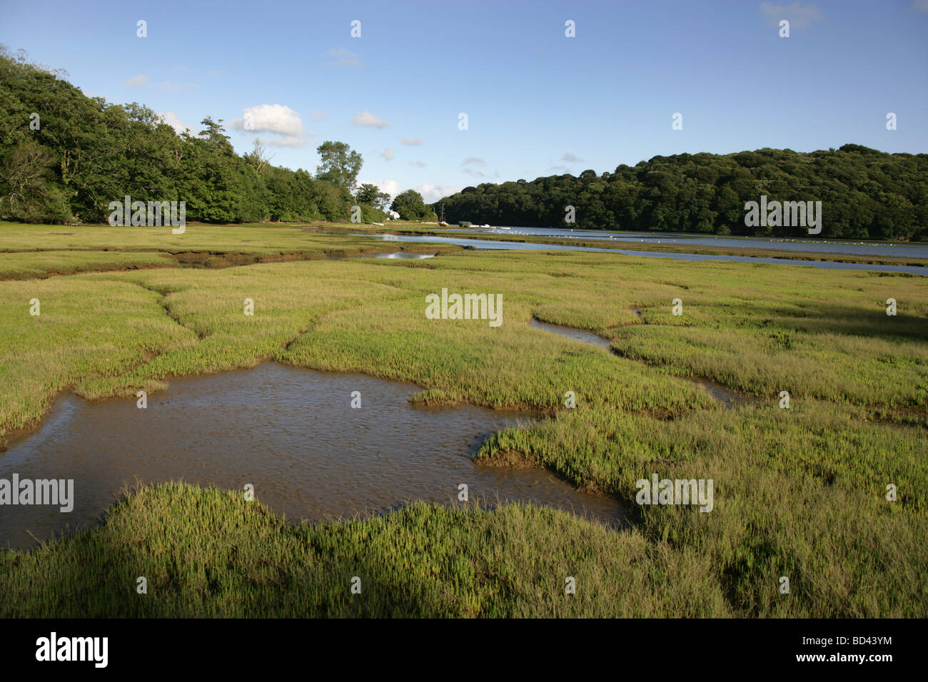 Town of Devoran, England. Evening view of the Devoran saltmarshs at ...