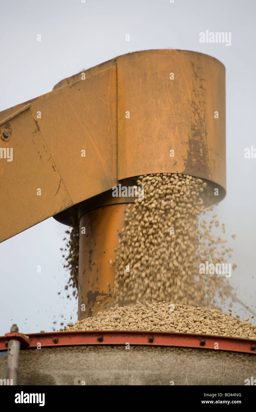 Mobile Dryer Drying Beans Stock Photo - Alamy