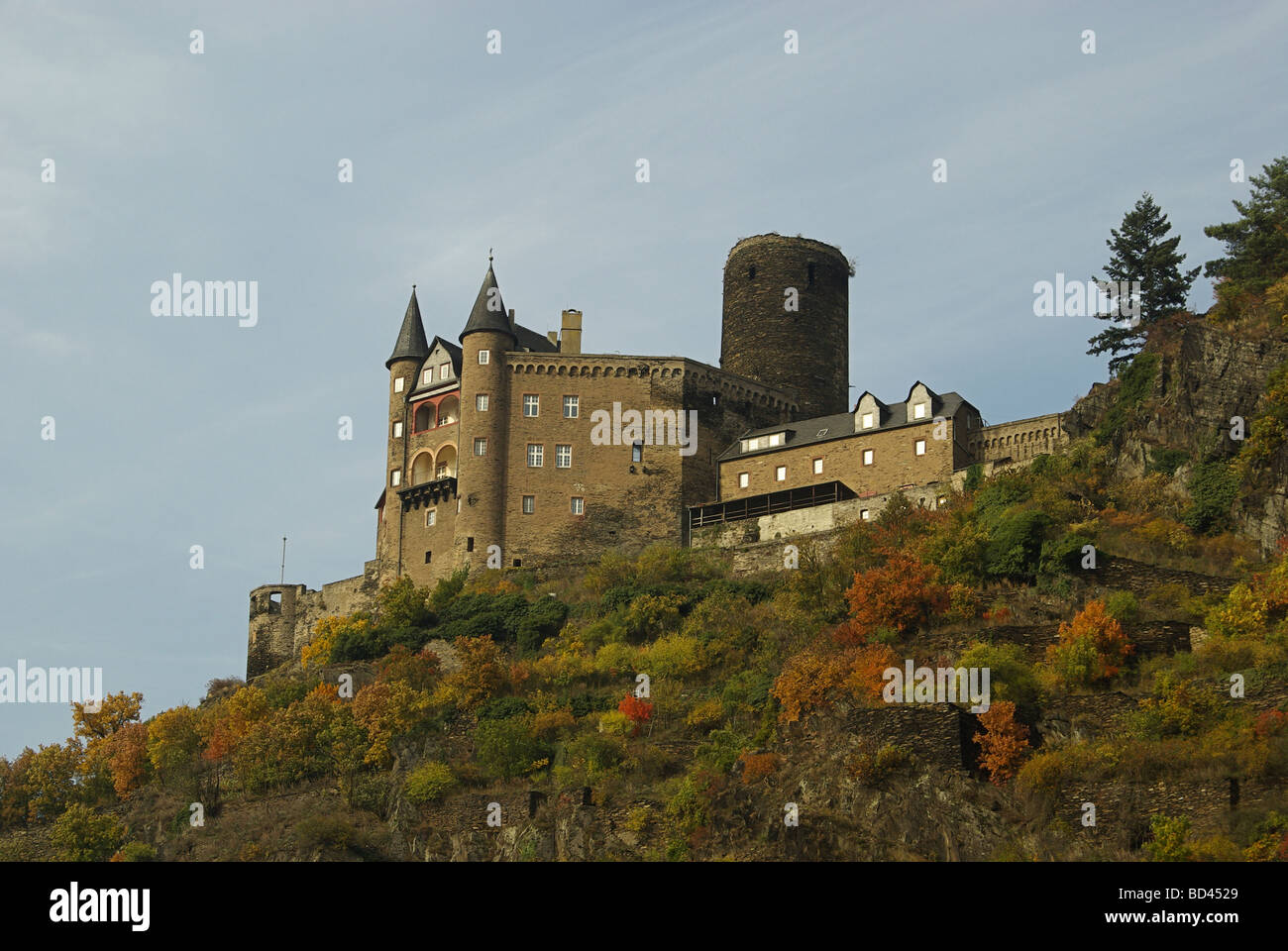 Katz hi-res stock photography and images - Alamy