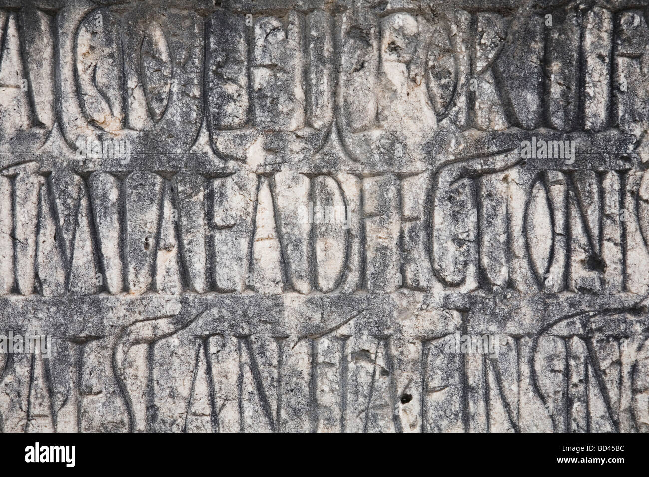 Detail of Roman engraved writing on stone Stock Photo - Alamy