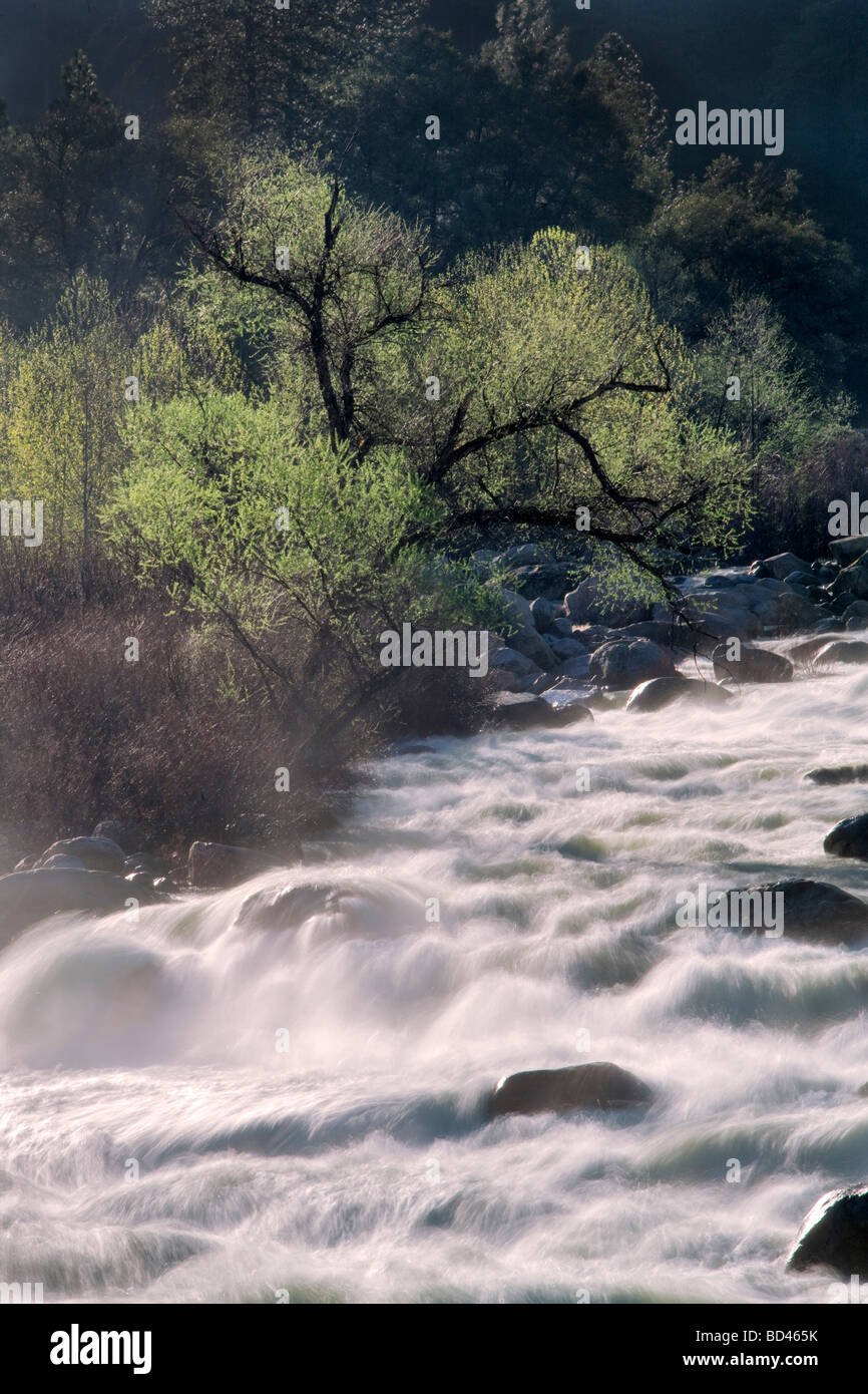 High spring runoff water in Merced River Yosemite National Park ...