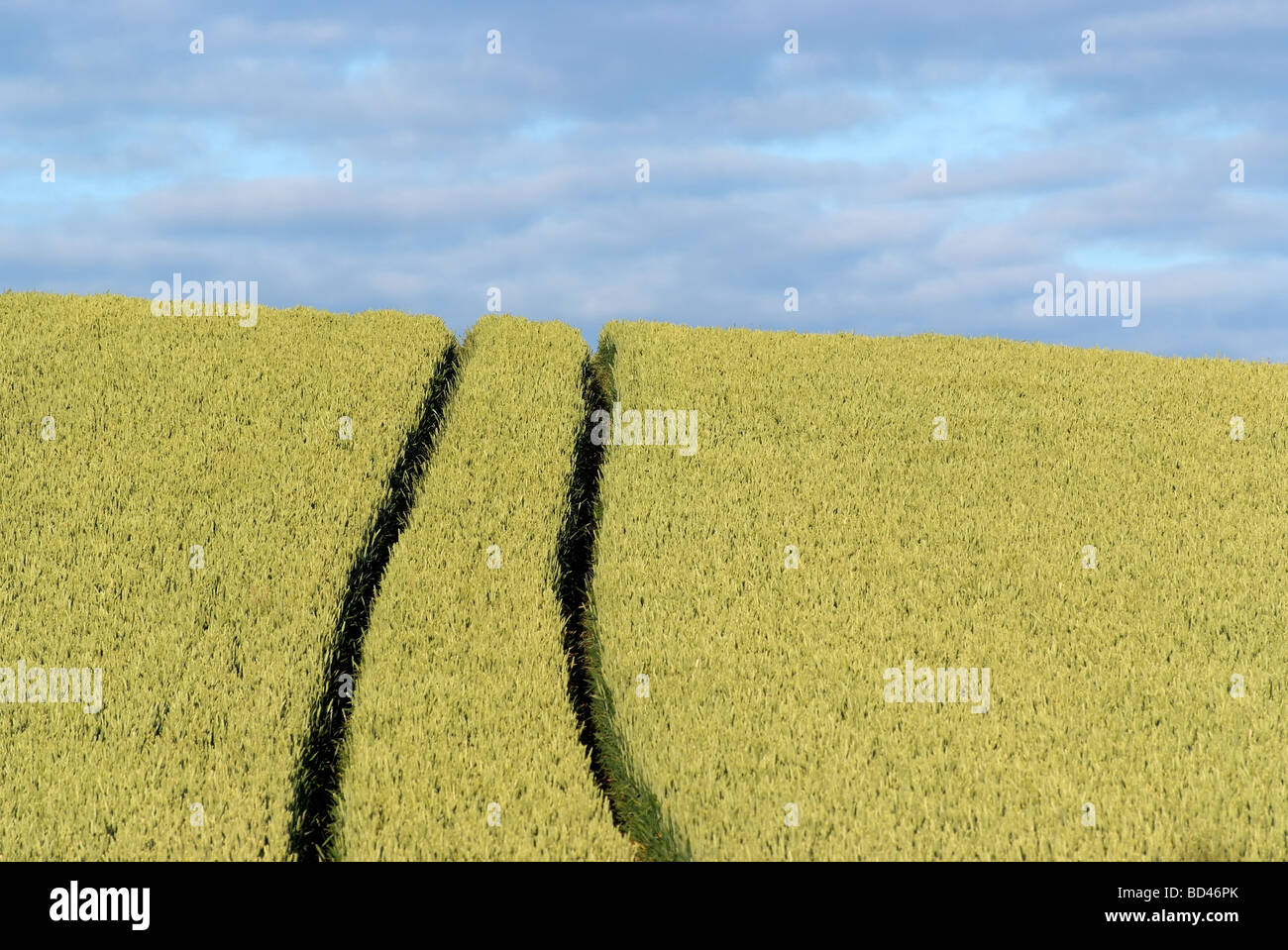Sprayer tracks hi-res stock photography and images - Alamy
