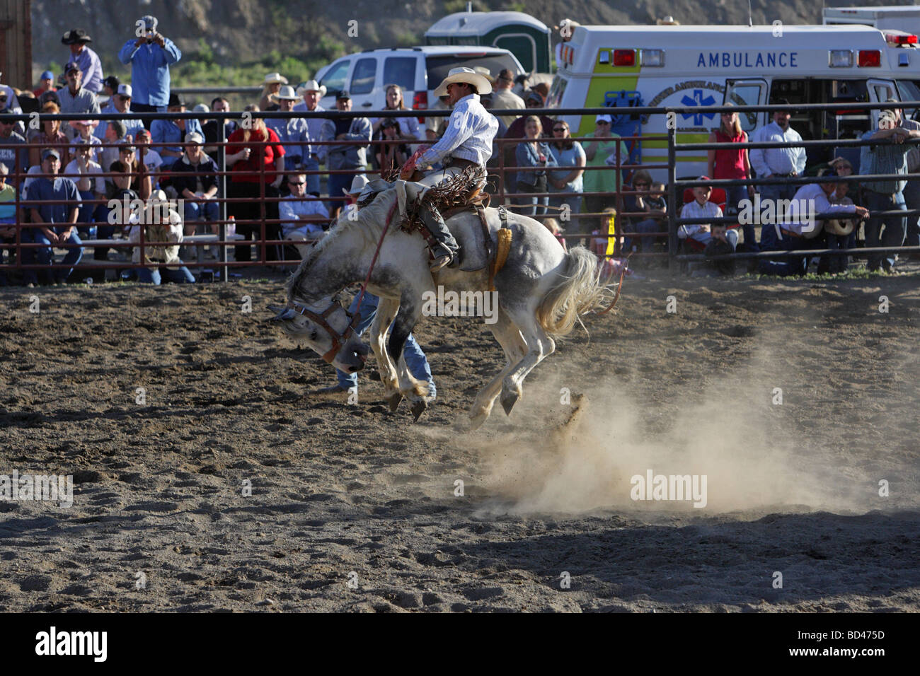 Bronco riding hi-res stock photography and images - Alamy