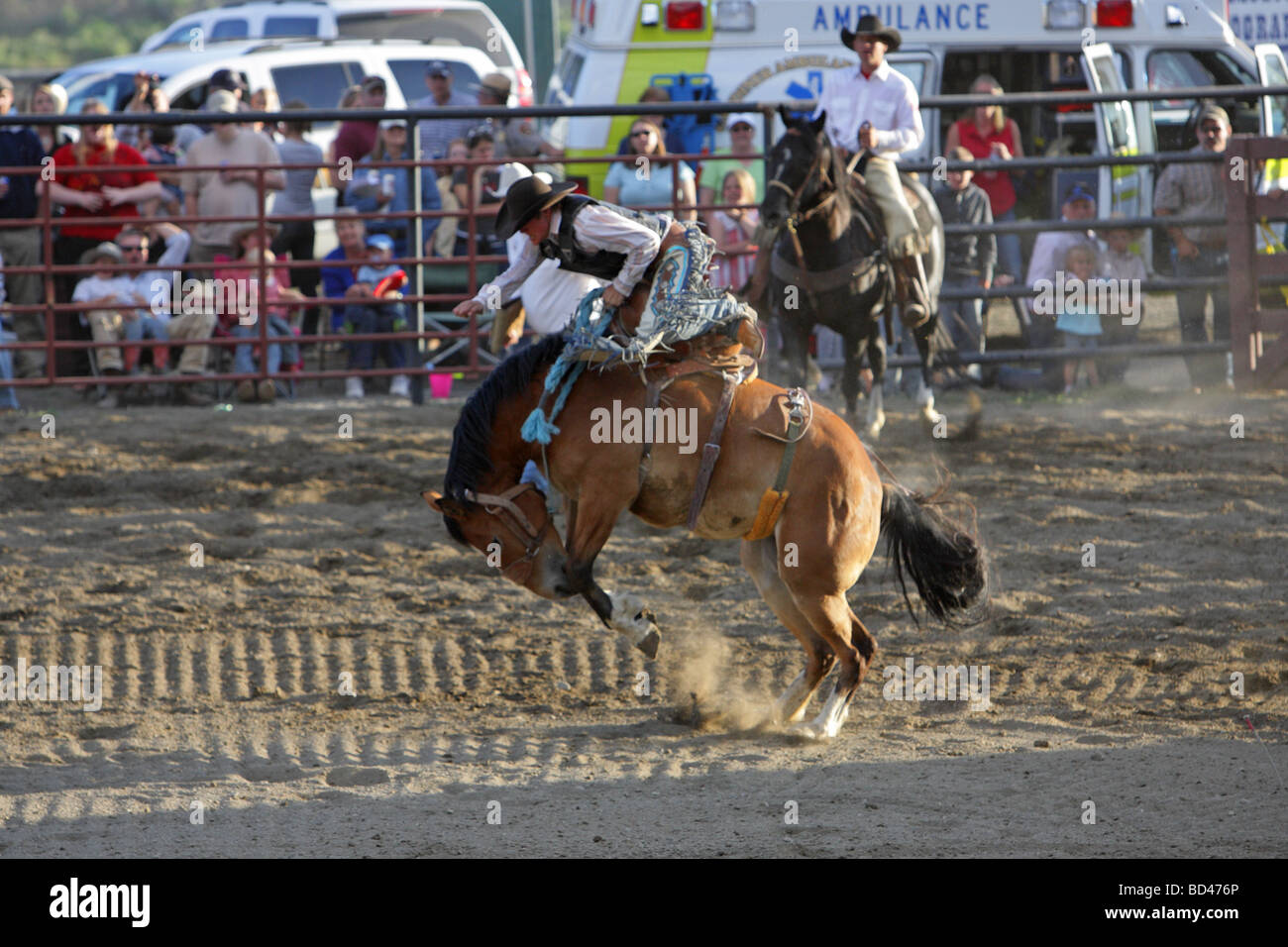 Bronco riding hi-res stock photography and images - Alamy