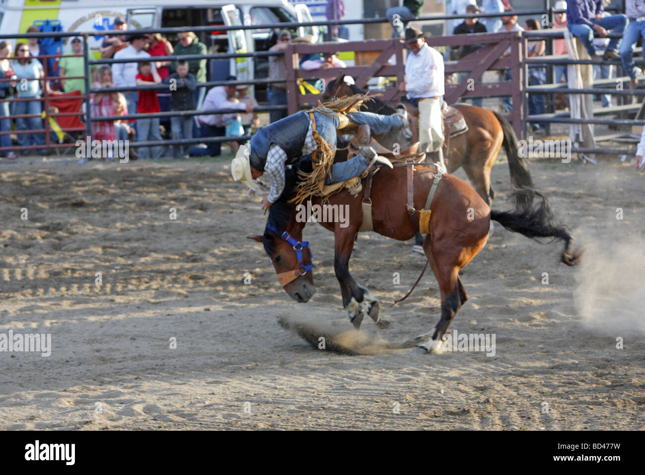 Bucking cowboy falling off rodeo hi-res stock photography and images ...
