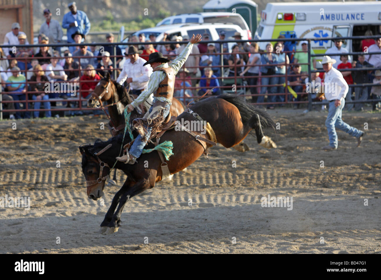 Bronco riding hi-res stock photography and images - Alamy
