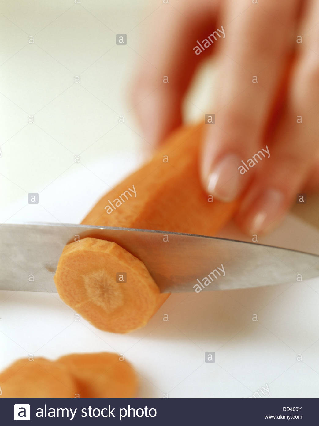 Carrot Root Cross Section Stock Photos & Carrot Root Cross Section ...