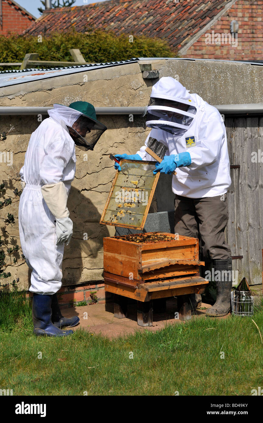 Brood chamber hi-res stock photography and images - Alamy