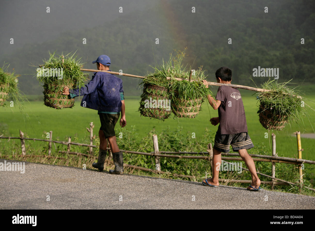 Carry baskets hi-res stock photography and images - Alamy